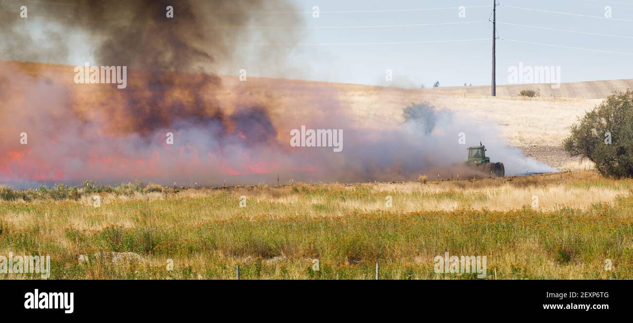 Agricultural Farmers Burn Plant Stalks Harvest Fire Tractor Stock Photo ...