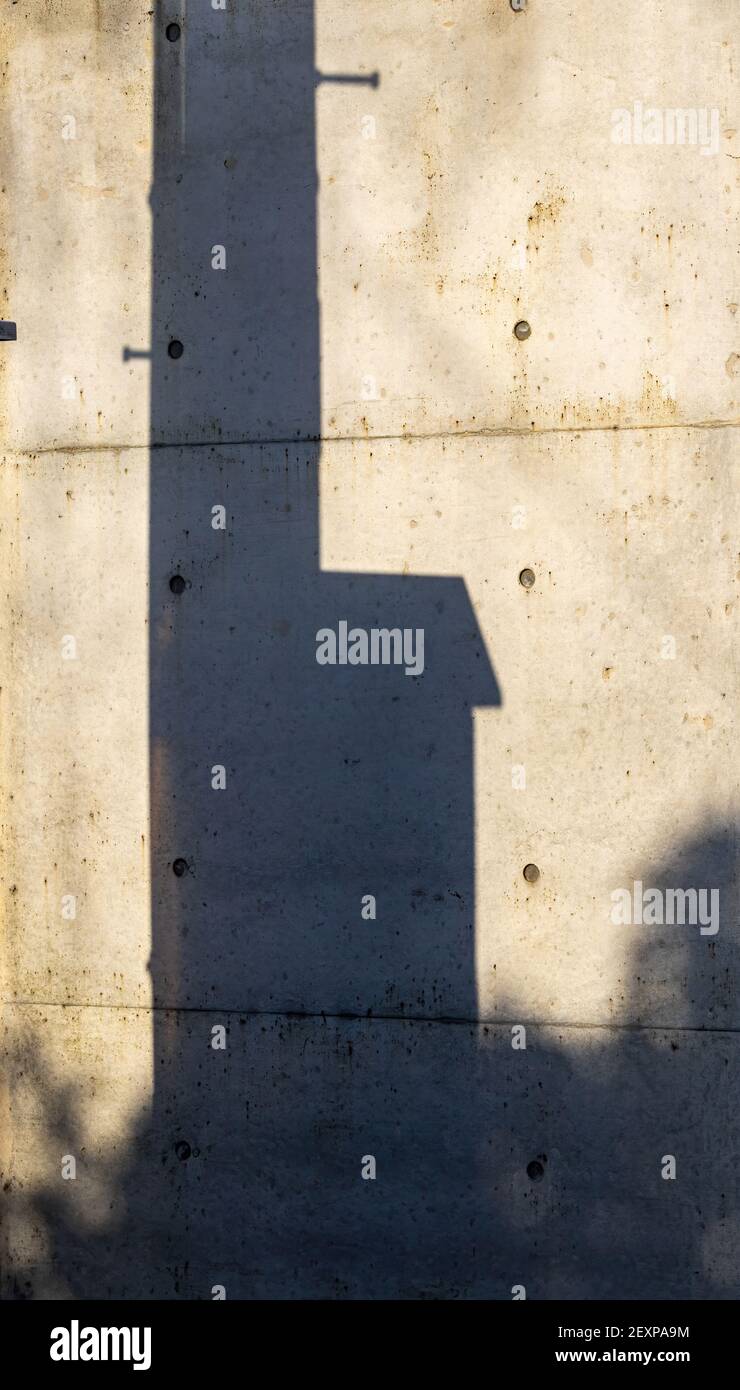 Late afternoon sunlight cast the shadow of a shrub, an electricity pole ...