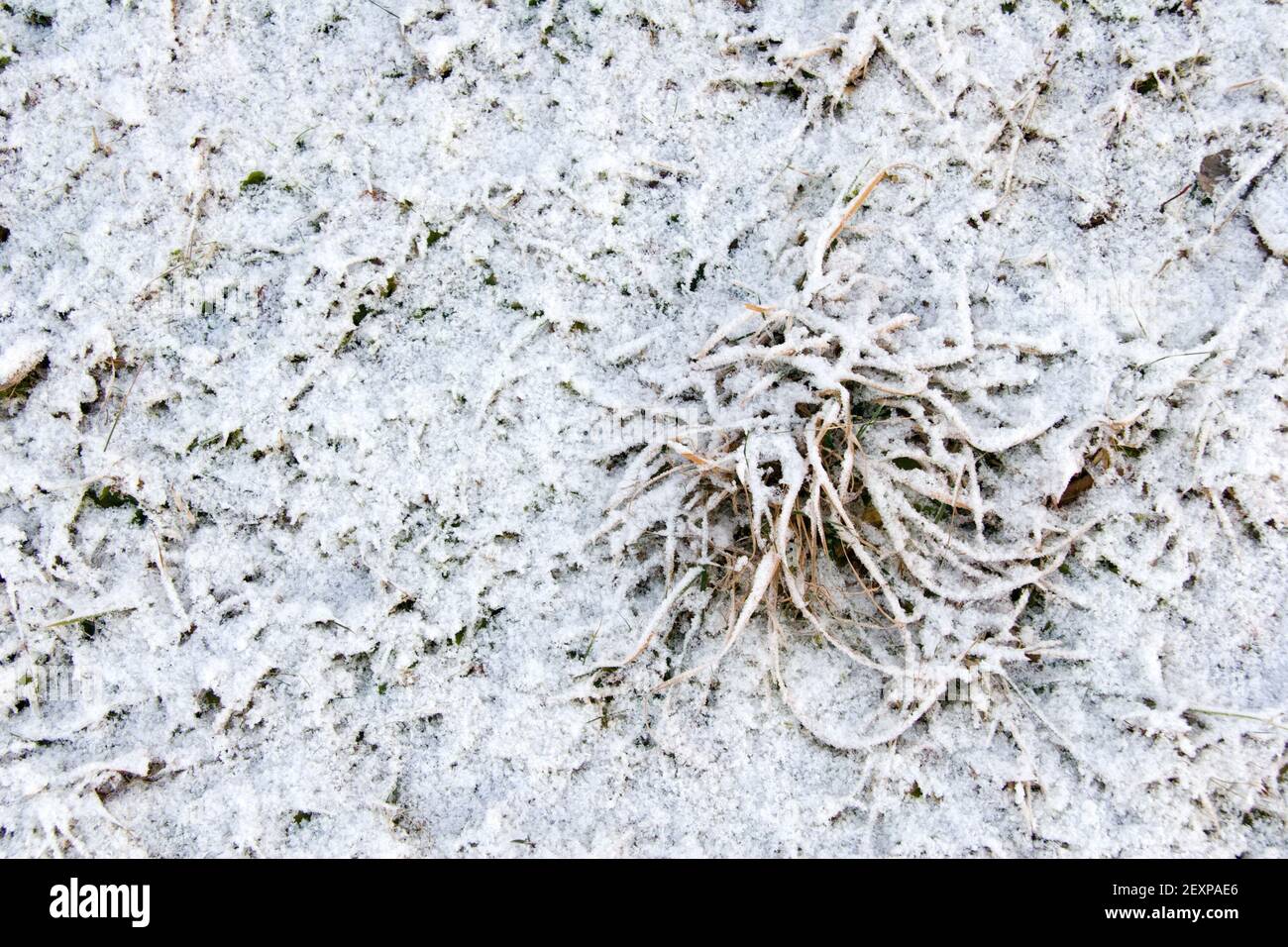 Fresh fallen hi-res stock photography and images - Alamy