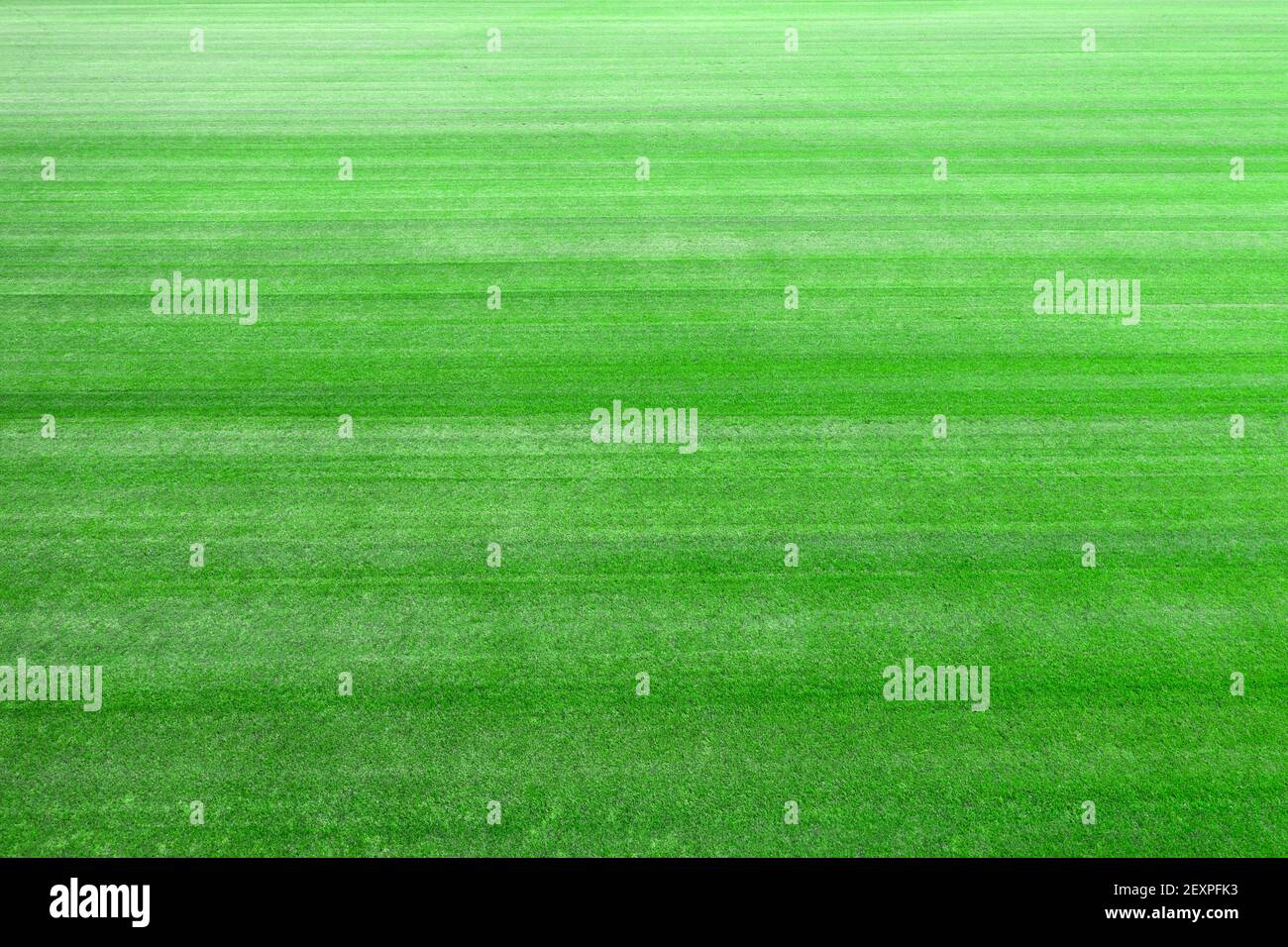 Wonderful green lawn grass, texture, top view Stock Photo - Alamy