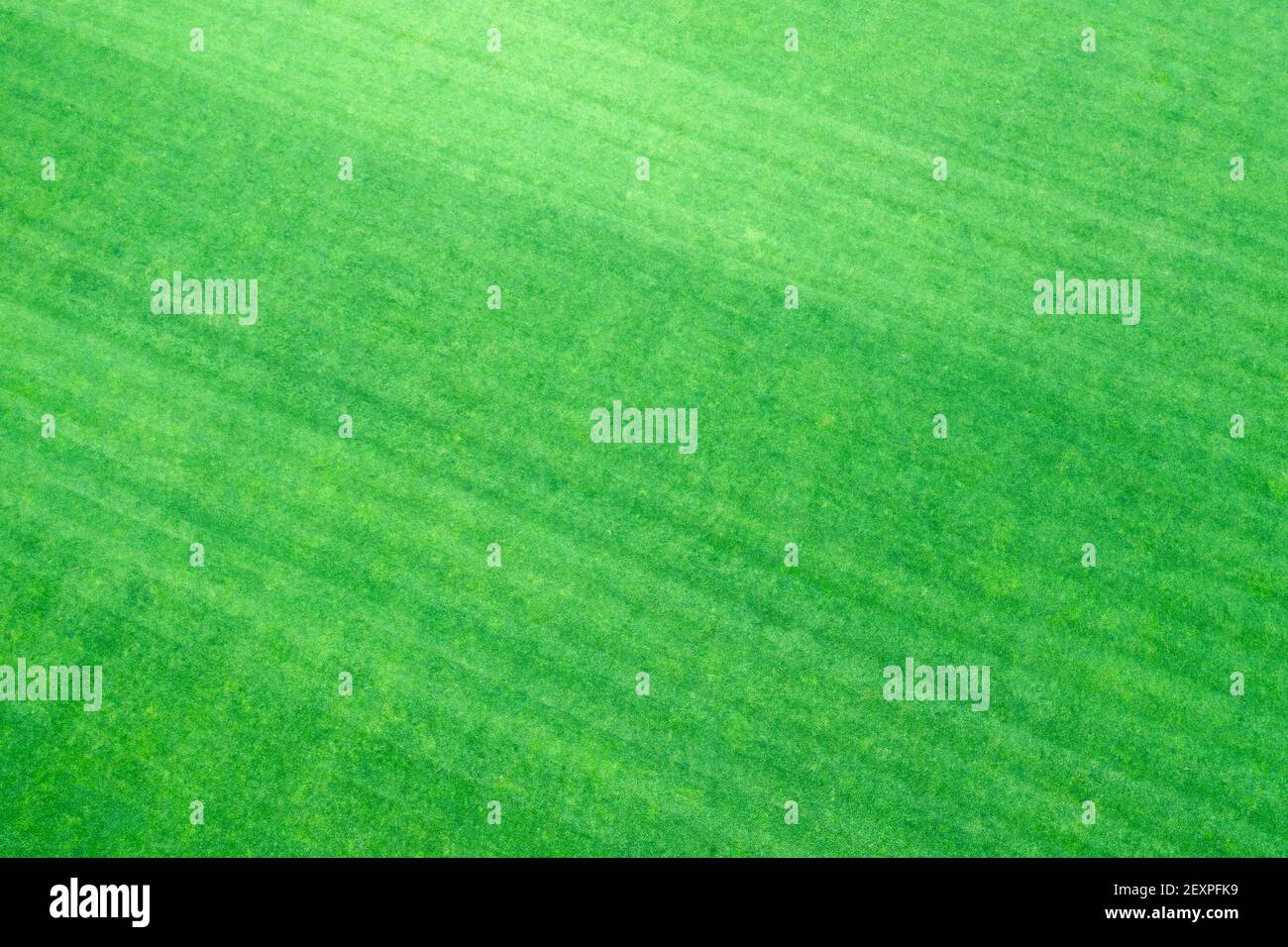 Wonderful green lawn grass, texture, top view Stock Photo - Alamy