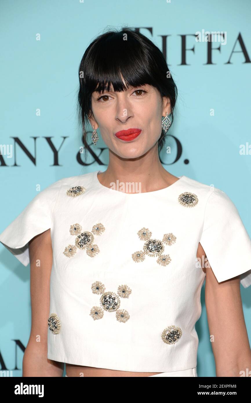 Athena Calderone attends the Tiffany Debut of the 2014 Blue Book at the ...