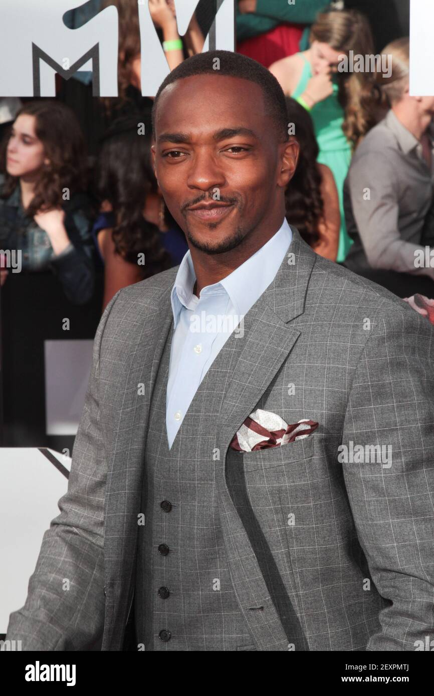 Actor Anthony Mackie arrives at the 2014 MTV Movie Awards held at the ...
