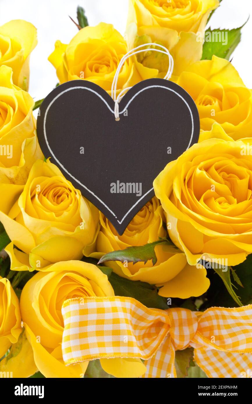 Fresh yellow roses Stock Photo - Alamy