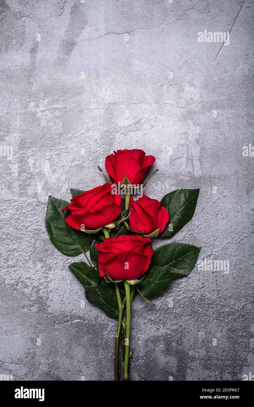 Red roses on a textured concrete surface with copy space and room for ...