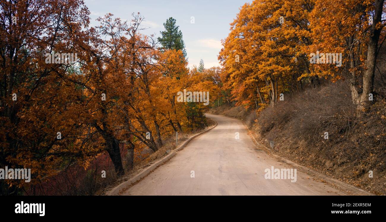 Primitive road hi-res stock photography and images - Alamy