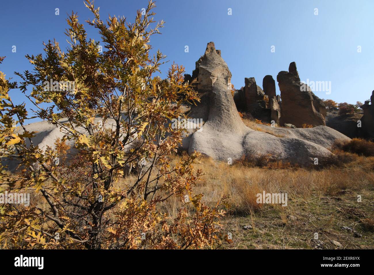Rocks shaped by the wind Stock Photo - Alamy