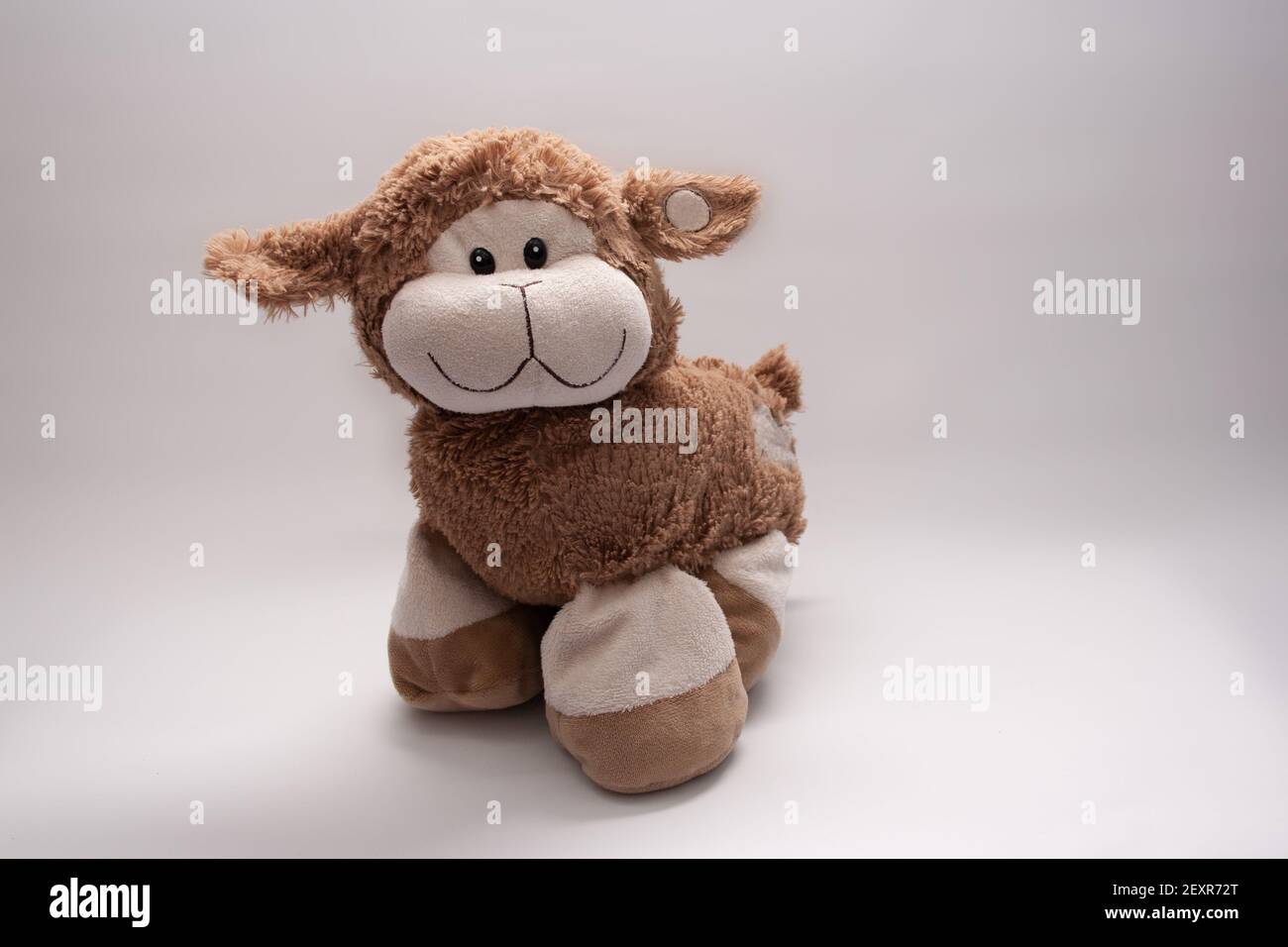 A closeup of stuffed soft toy sheep isolated on white background Stock ...