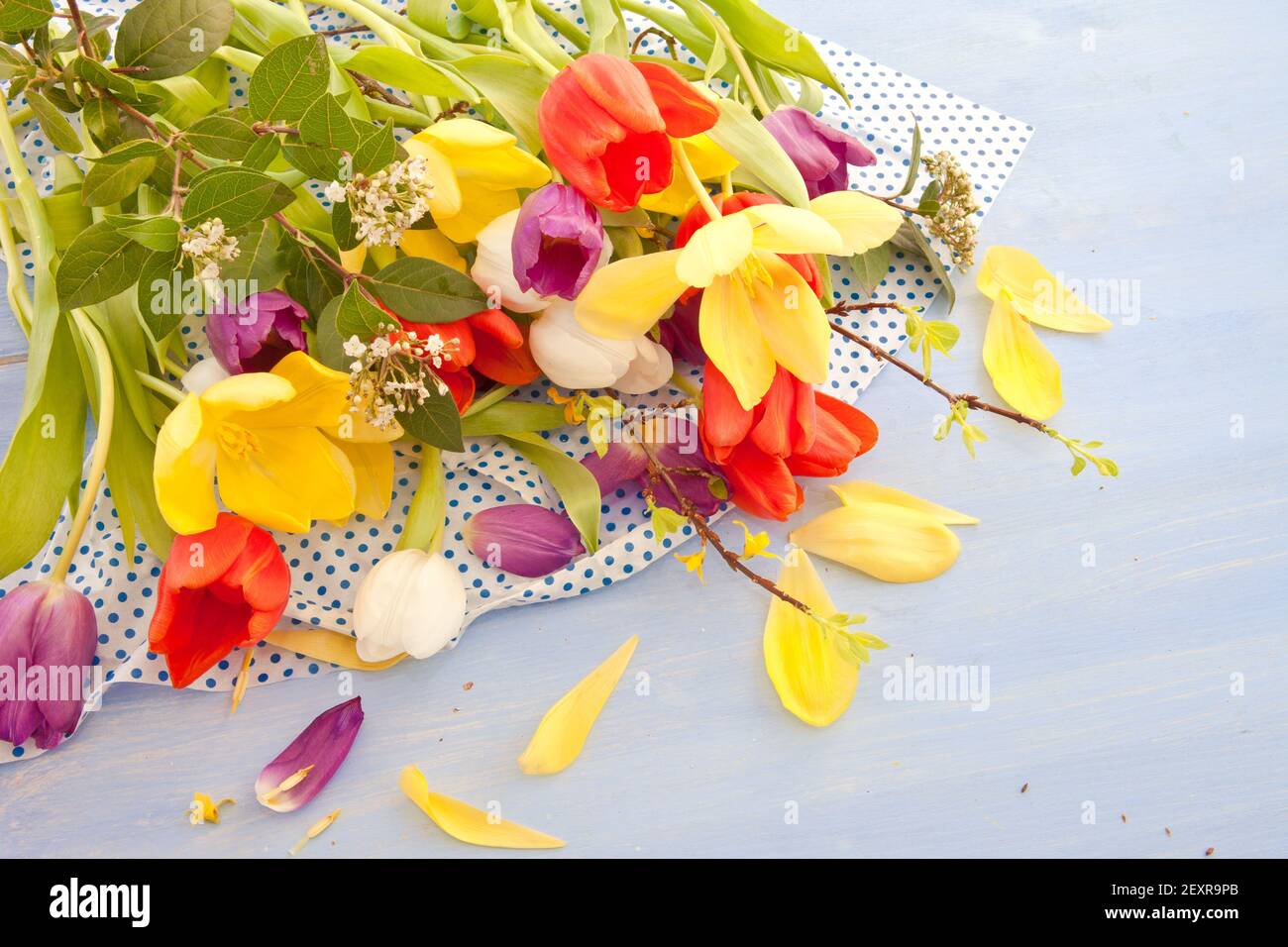 Fresh spring flowers Stock Photo - Alamy