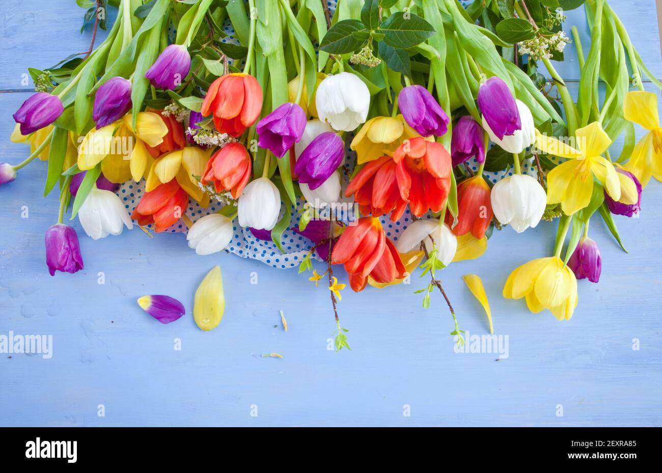 Fresh spring flowers Stock Photo - Alamy
