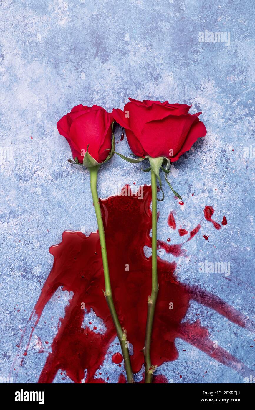 Red roses and blood on a blue textured background with copy space and ...