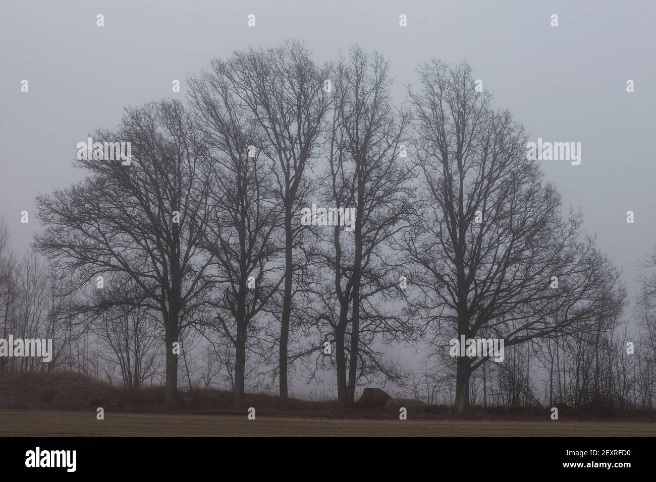 Rygge dilling hi-res stock photography and images - Alamy