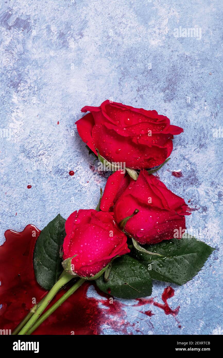 Red roses and blood on a blue textured background with copy space and ...