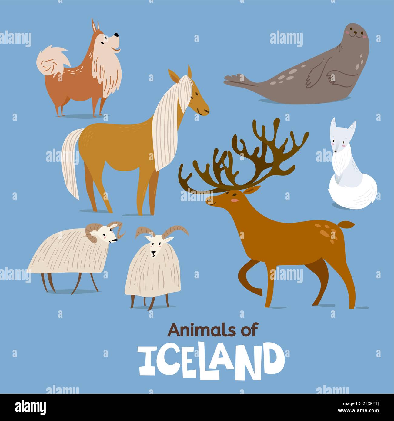 Mammals Of Iceland