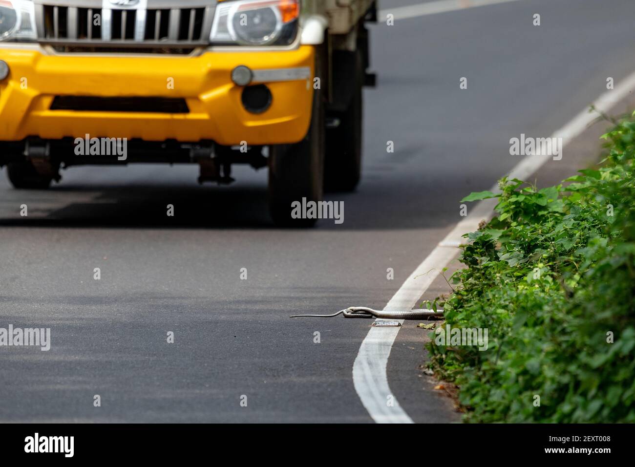 Road rash hi-res stock photography and images - Alamy