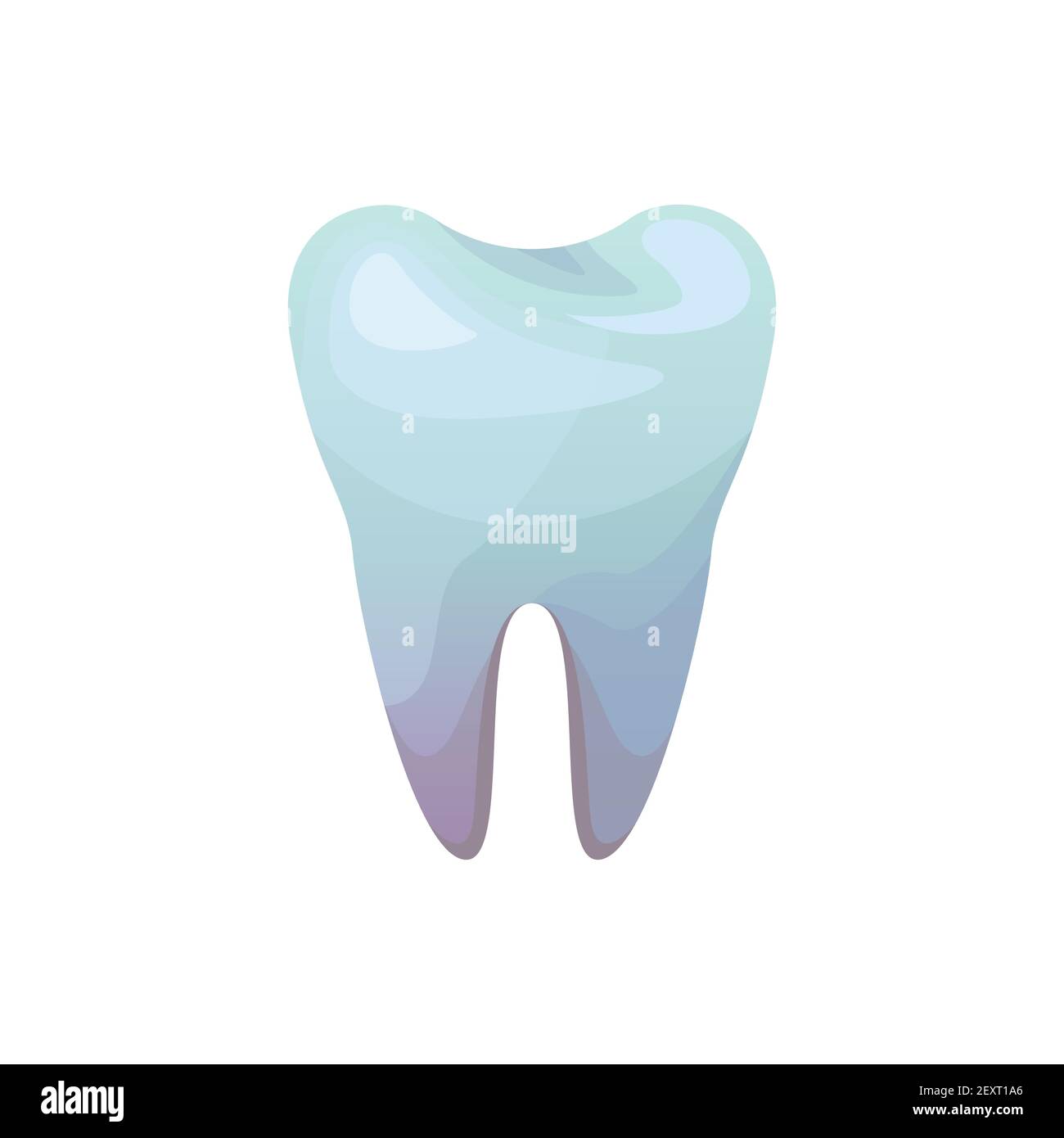 Vector isolated illustration of a molar tooth. Dental Icon Stock Vector ...