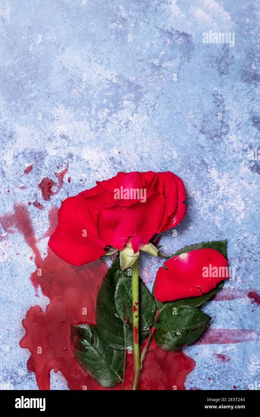 Smashed red rose and blood on a textured background with copy space and ...