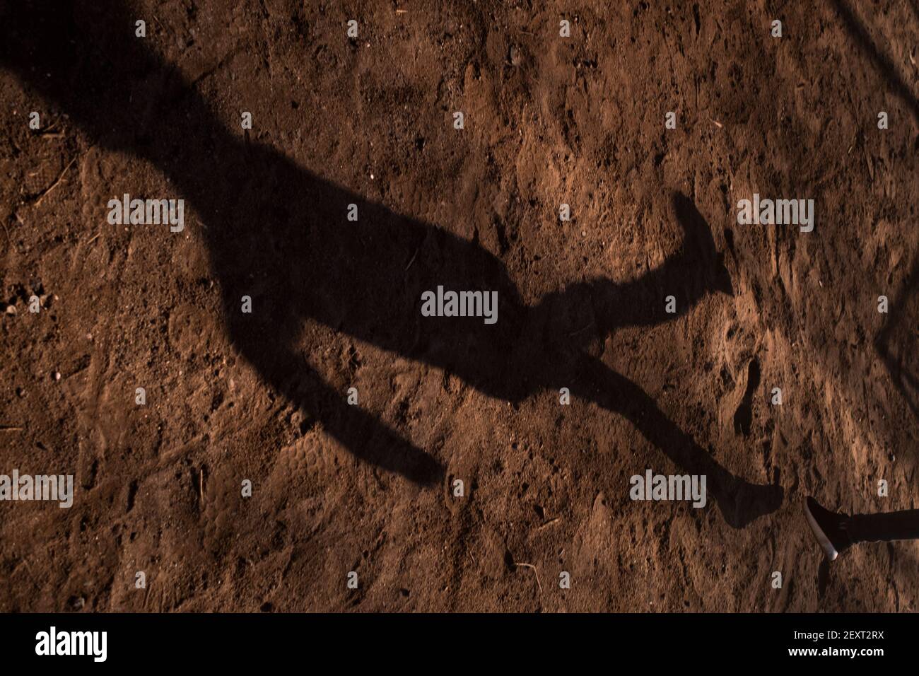 Ascheplatz hi-res stock photography and images - Alamy