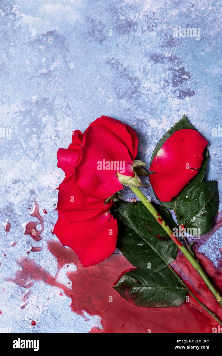 Smashed red rose and blood on a textured background with copy space and ...