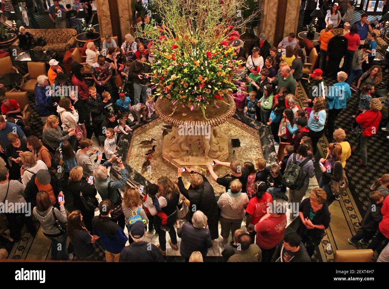 Large crowds gather at 11 a.m. and 5 p.m. to see the march of the ducks ...