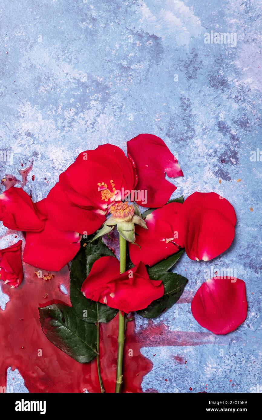 Smashed red rose and blood on a textured background with copy space and ...