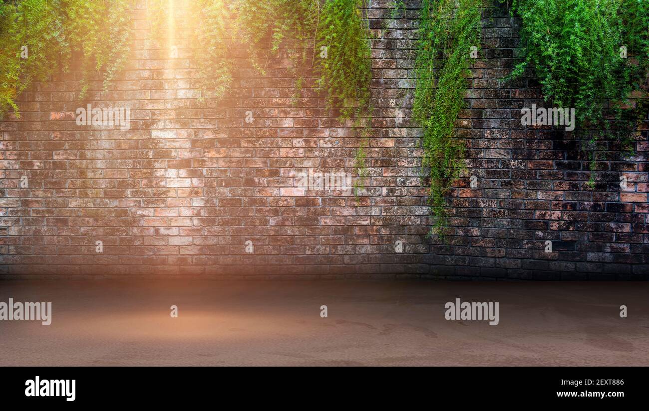 old brick wall with green ivy leaves. Brick wall overgrown. Brick wall ...