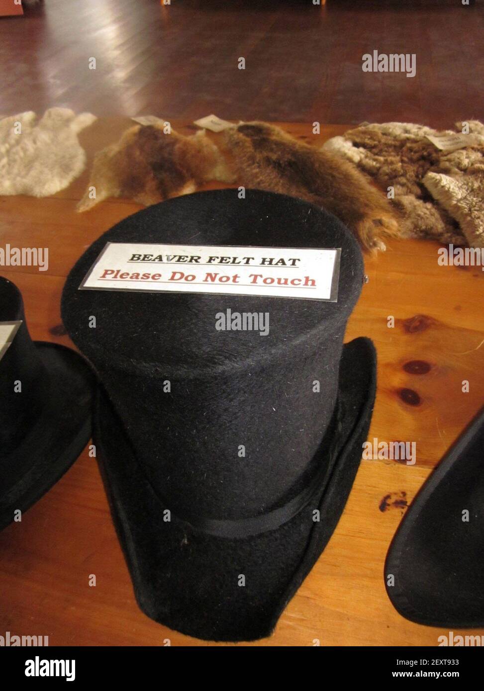 A beaver felt hat, the kind whose popularity, especially in England ...