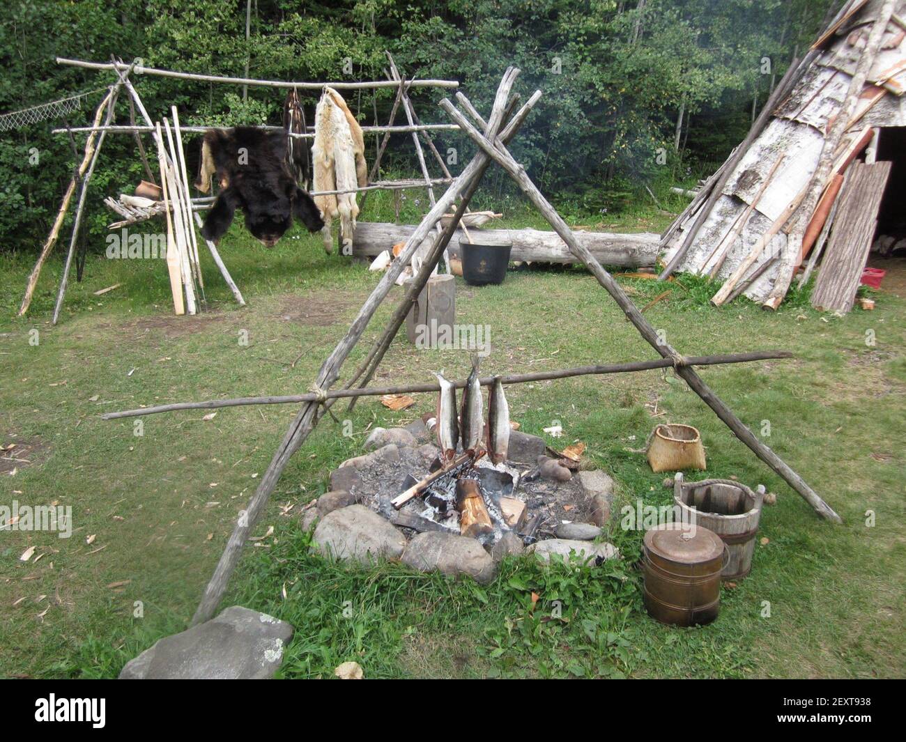 Fish hang over a fire at the Ojibwe Village re-creating the fur trading ...