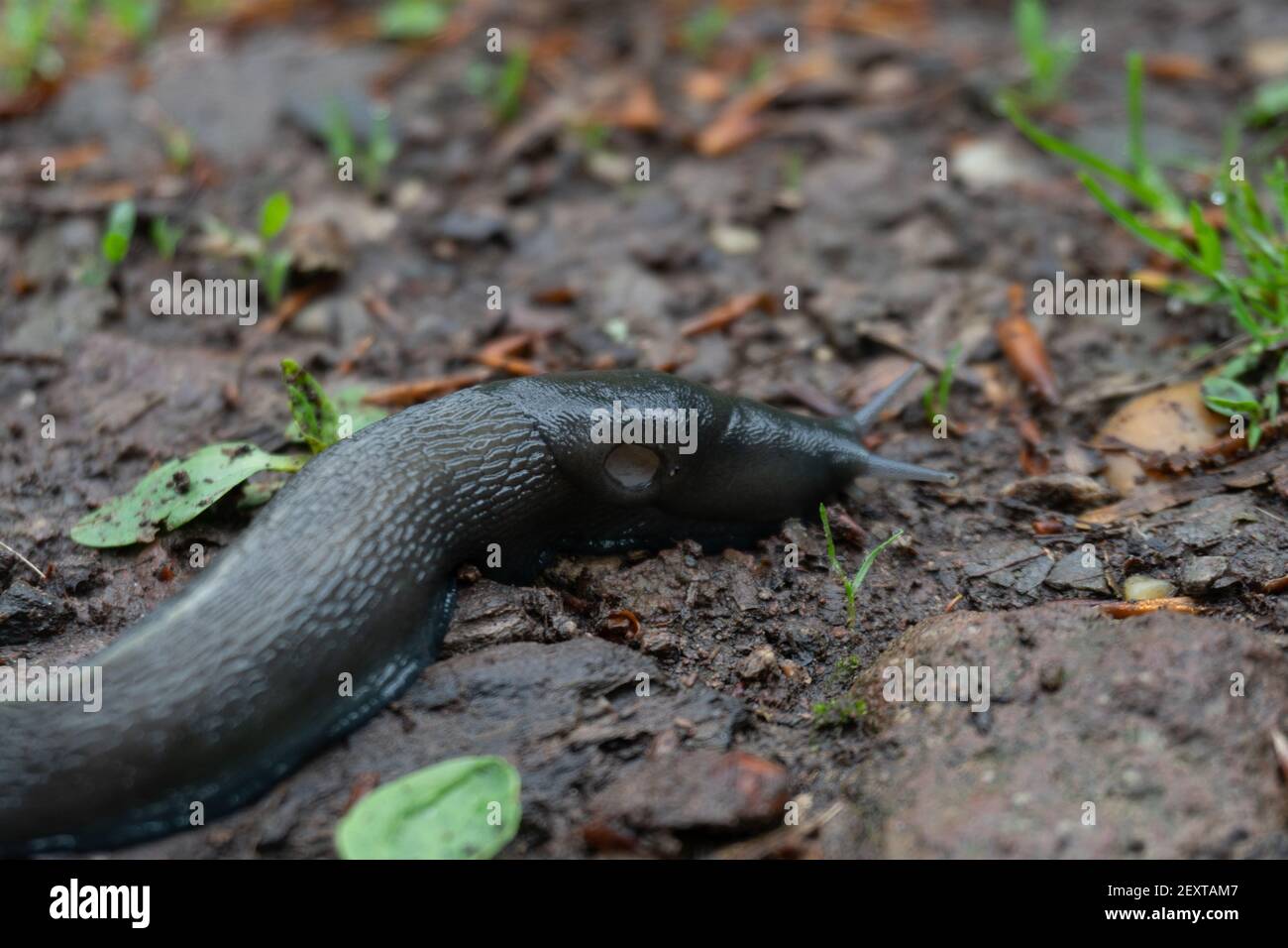 Slippery soil hi-res stock photography and images - Alamy