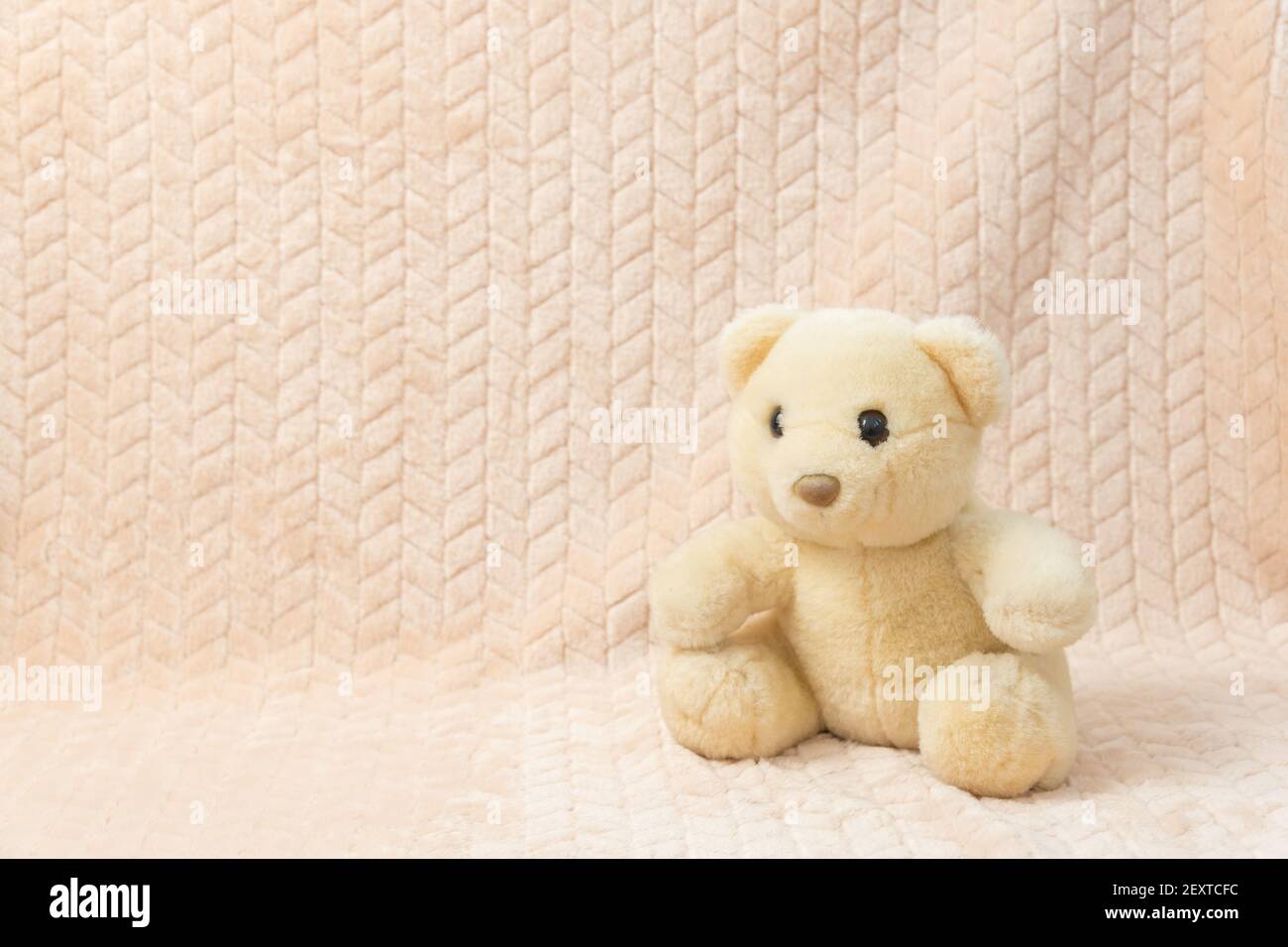 Beige teddy bear sit on the plush plaid Stock Photo - Alamy