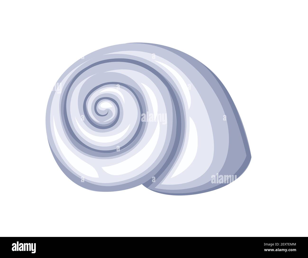 White seashell simple nautical souvenir vector illustration isolated on ...