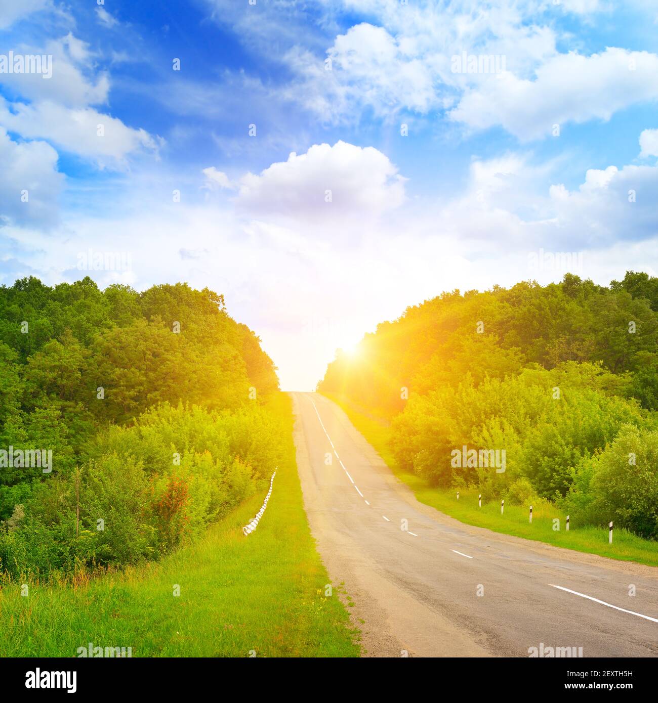 Dawn over road in rural wooded area Stock Photo - Alamy