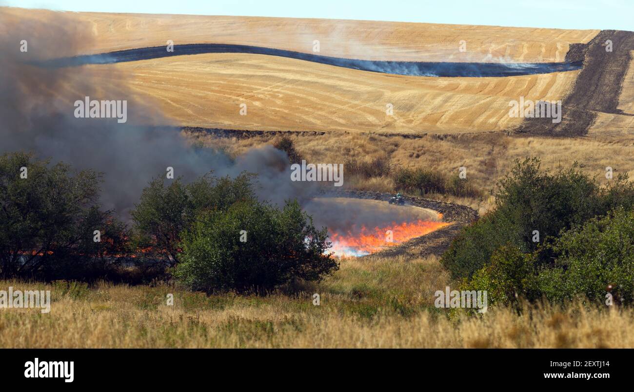 Farmers Working Controlled Burn Intentional Agricultural Fire Stock ...