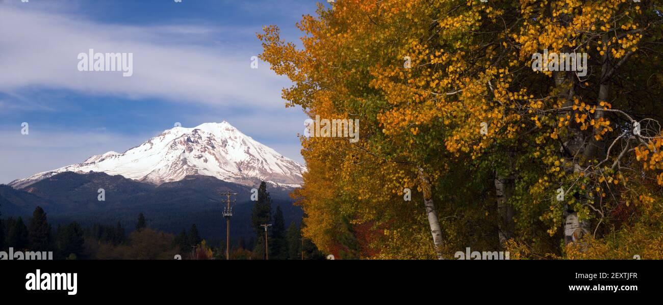 Mt shasta wilderness hi-res stock photography and images - Alamy