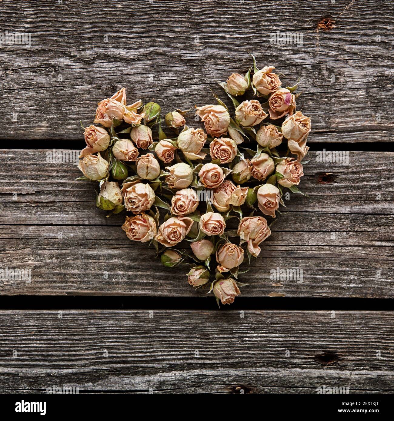 Heart shaped rose for a romantic background hi-res stock photography ...