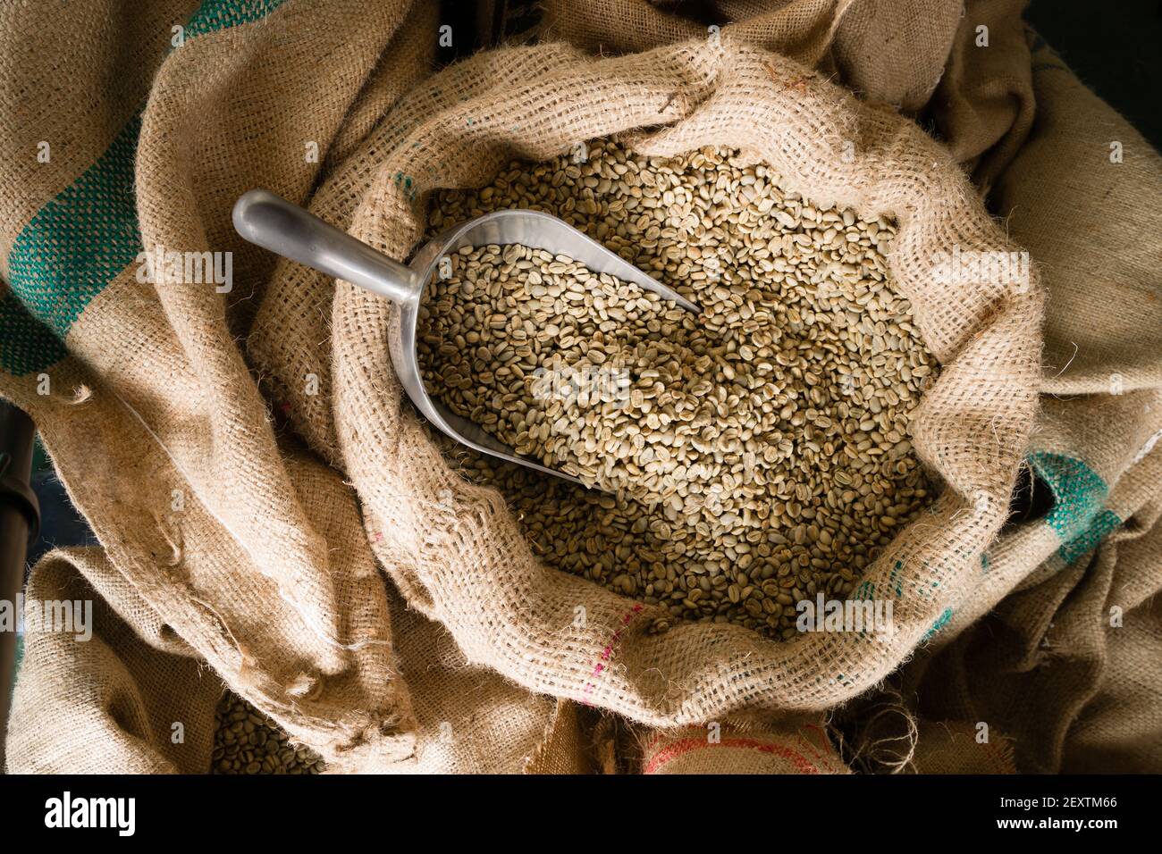 Raw Coffee Beans Seeds Bulk Burlap Sack Production Warehouse Stock ...
