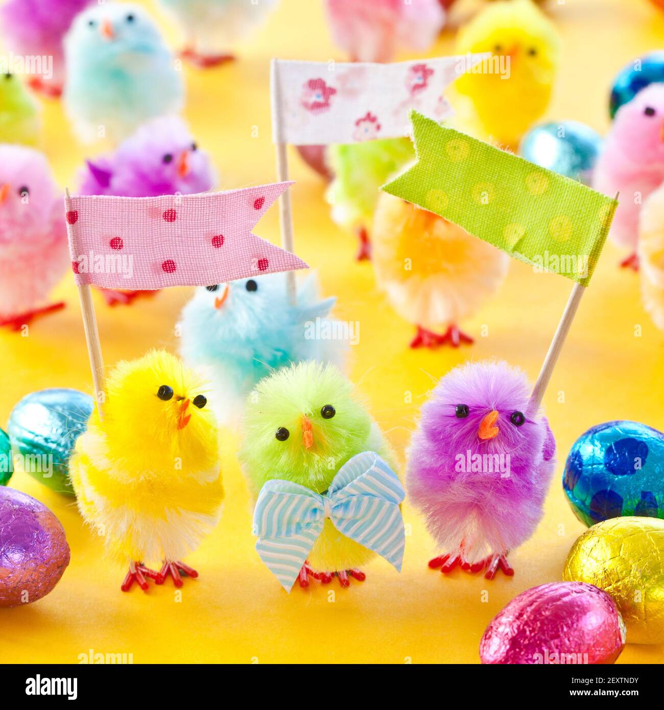 Colourful chicks for Easter Stock Photo - Alamy