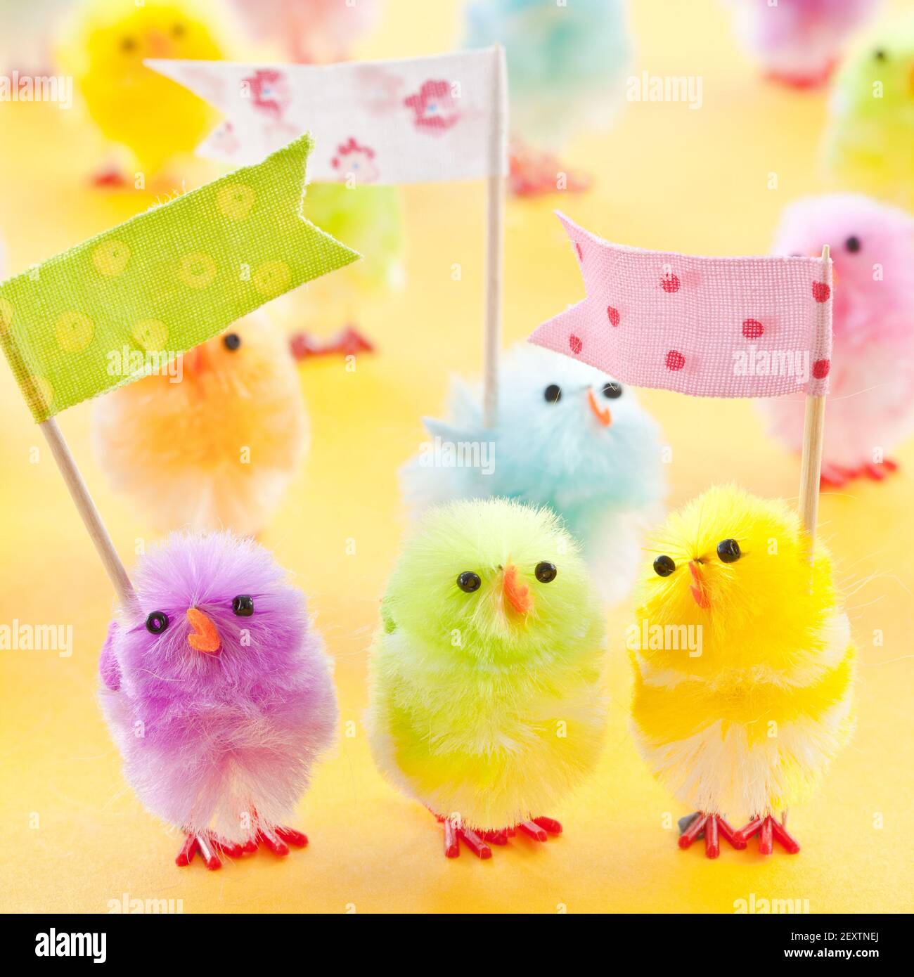 Colourful chicks for Easter Stock Photo - Alamy