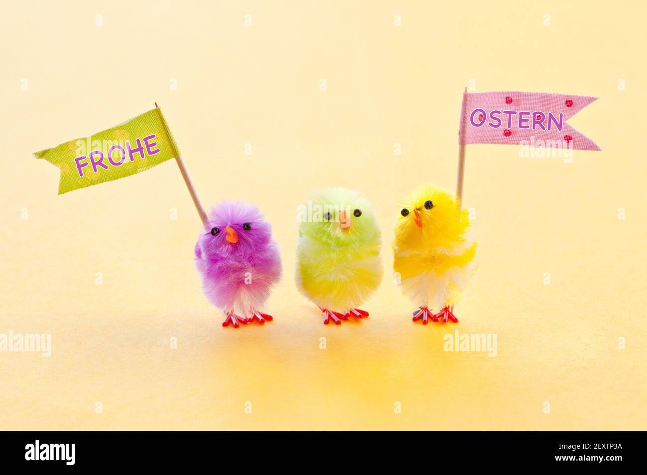 Easter baby chicks baby chickens hi-res stock photography and images ...