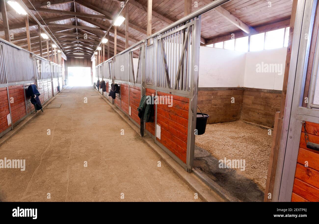 Horse Barn Animal Sport Paddock Equestrian Ranch Racing Stable Stock ...
