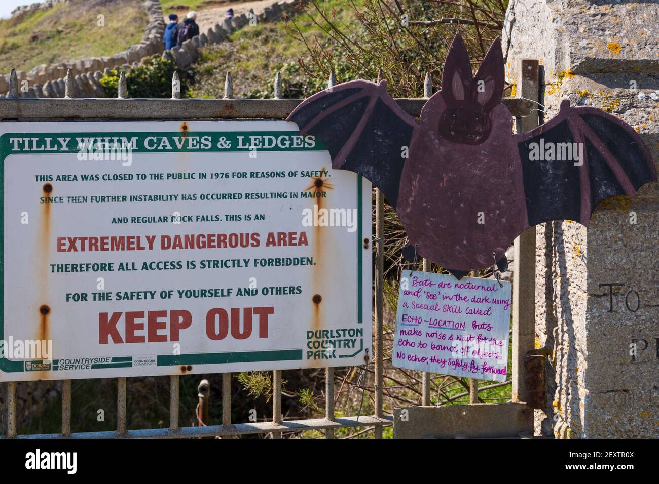 Bats are nocturnal and 'see' in the dark using a special skill called ...