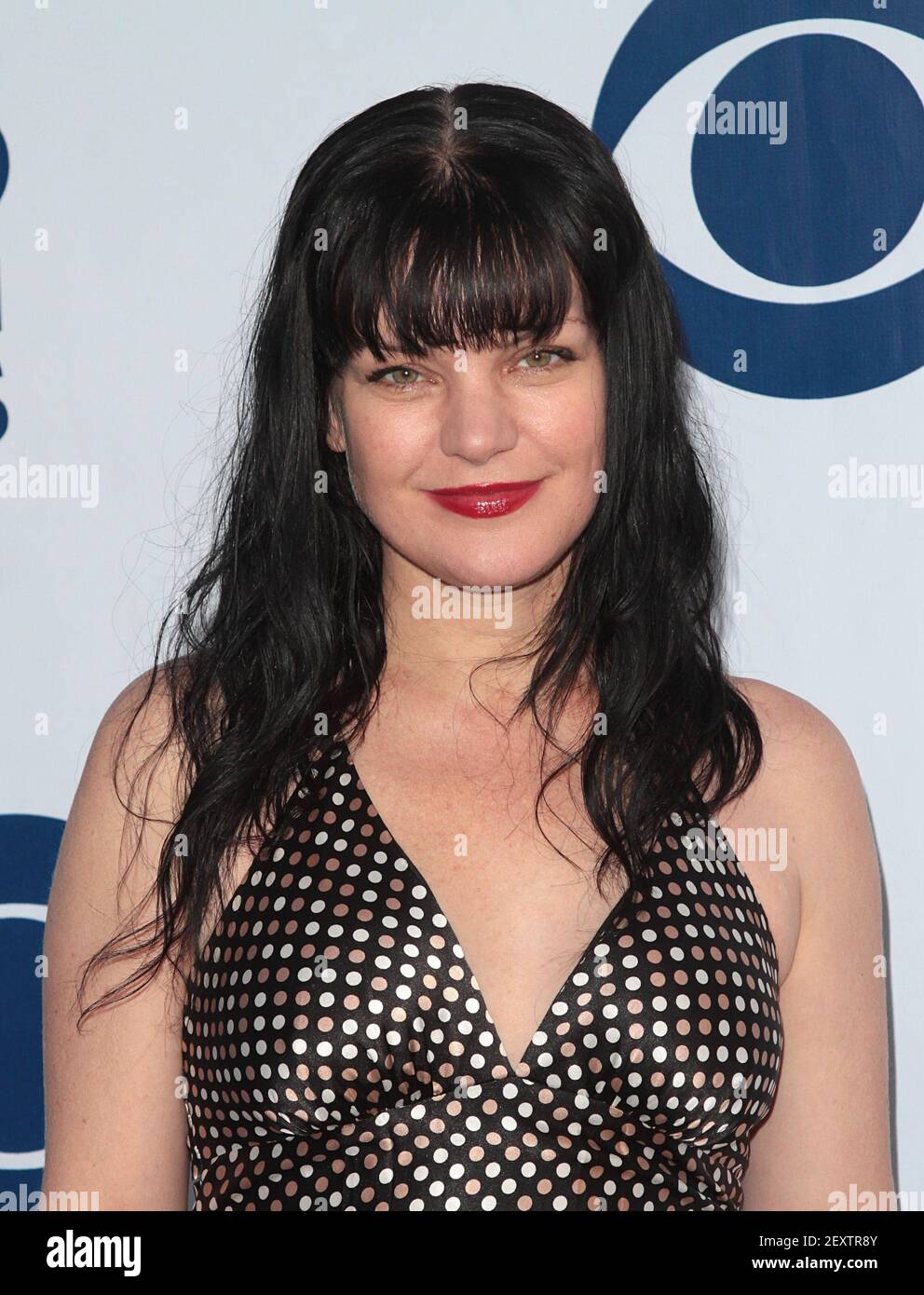 Pauley Perrette attends The CBS Summer Soiree held at the London in Los ...