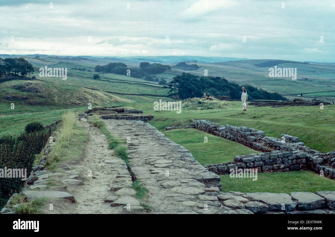 Ruins of Roman fort ’Vercovicium’ or ‘Borcovicium’ in Housesteads, 37th ...