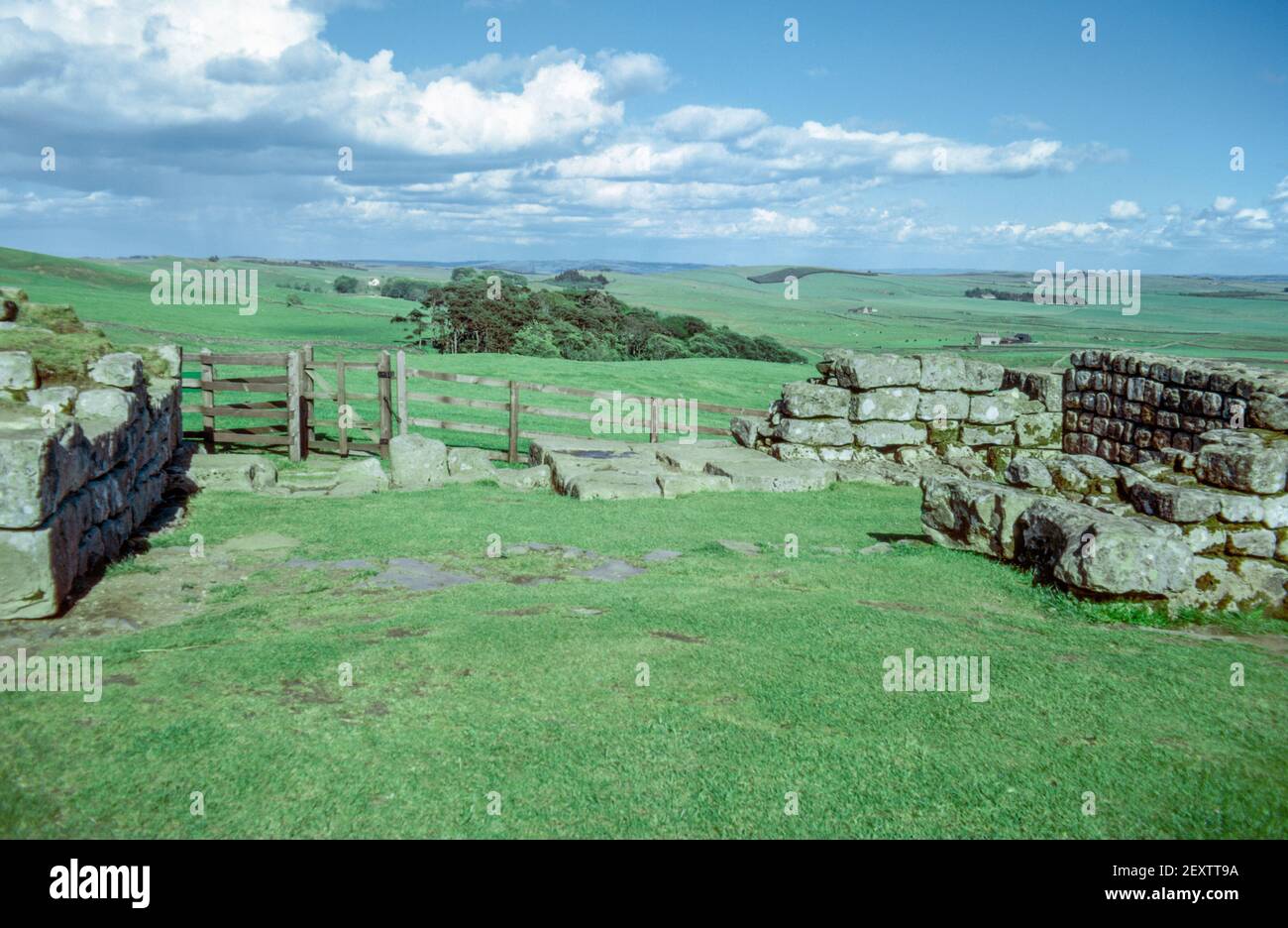 Ruins of Roman fort ’Vercovicium’ or ‘Borcovicium’ in Housesteads, 37th ...