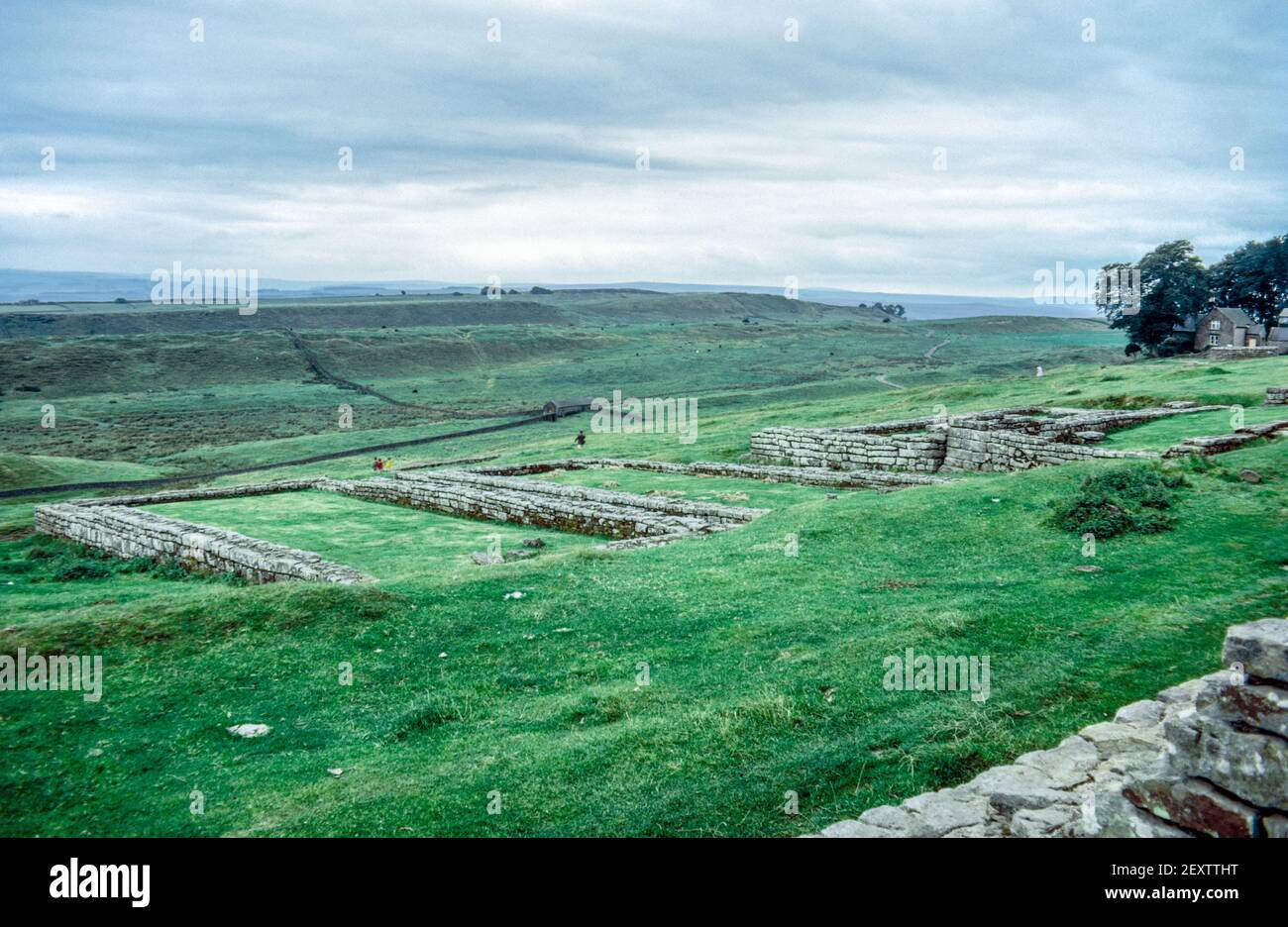 Ruins of Roman fort ’Vercovicium’ or ‘Borcovicium’ in Housesteads, 37th ...