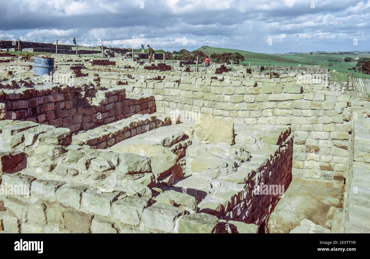 Ruins of Roman fort ’Vercovicium’ or ‘Borcovicium’ in Housesteads, 37th ...