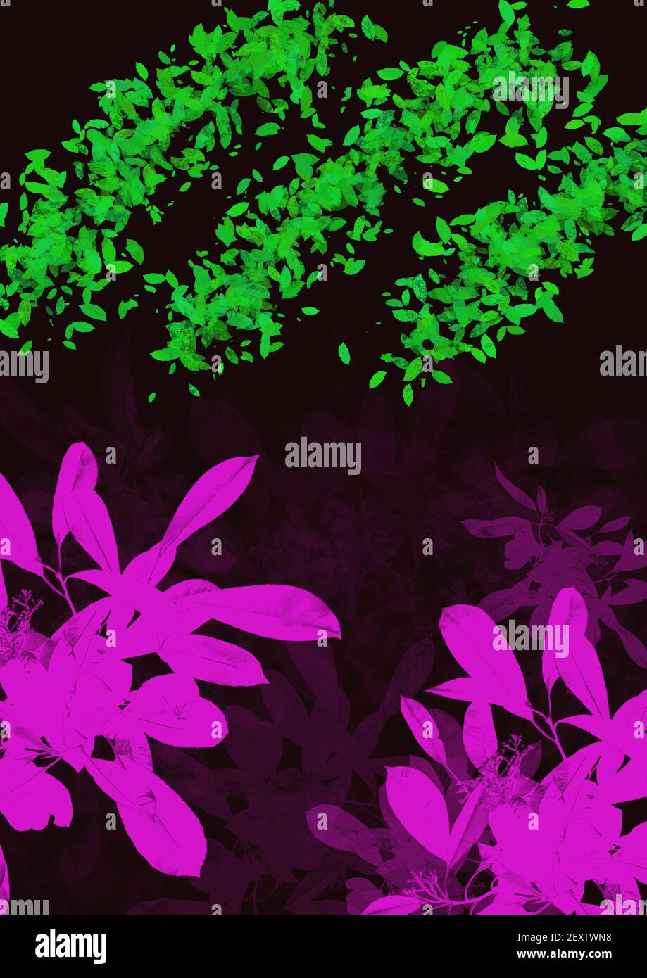 Creative artistic illustrations of random flowers and leaves Stock ...