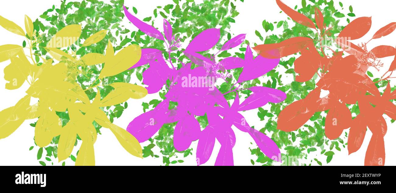 Creative artistic illustrations of random flowers and leaves Stock ...