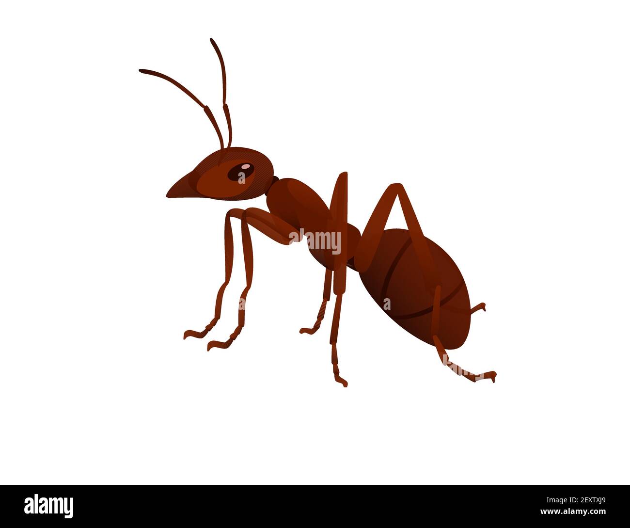 Cute brown ant looks around cartoon bug animal design vector ...