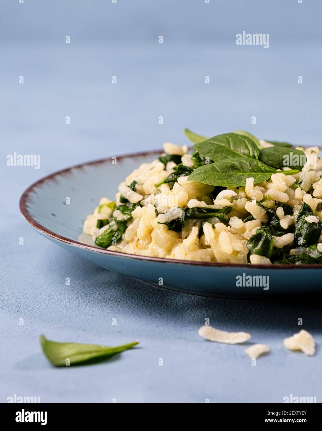 Risotto with young spinach leaves arranged on a petrol colored plate ...